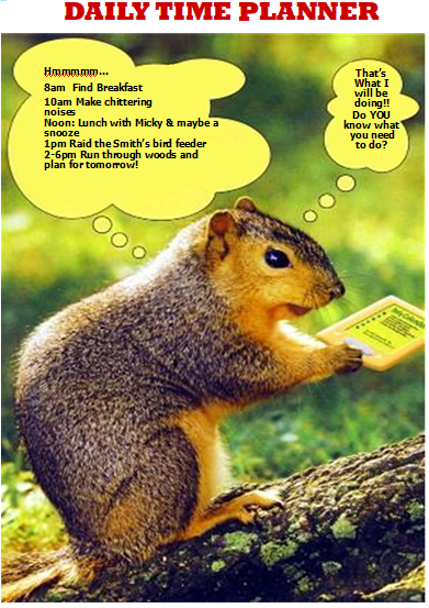 Squirrel activity planner